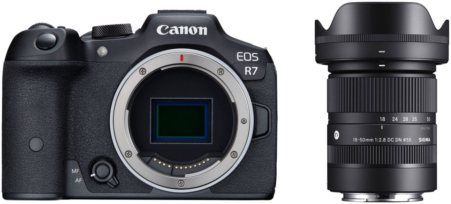 Canon EOS R7 + Sigma 18-50mm f/2.8 DC DN Foto-Groep
